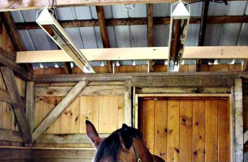 Harnessing Warmth: A Guide to Efficiently Heating Your Barn with Propa ...